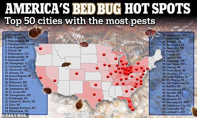 America's bed bug hotspots REVEALED: Map shows top 50 worst cities for ...